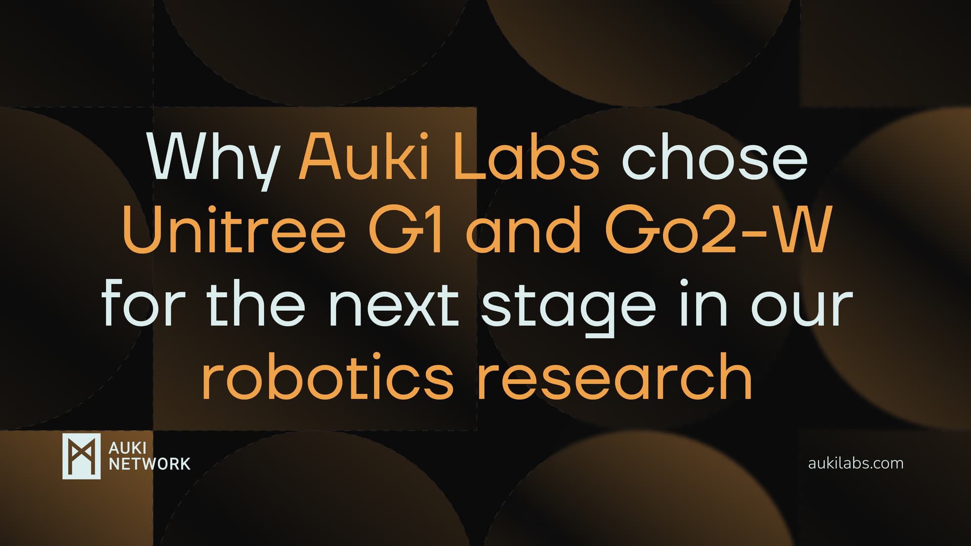 Auki Labs Revolutionizing Robotics with Posemesh Technology | DePIN Hub